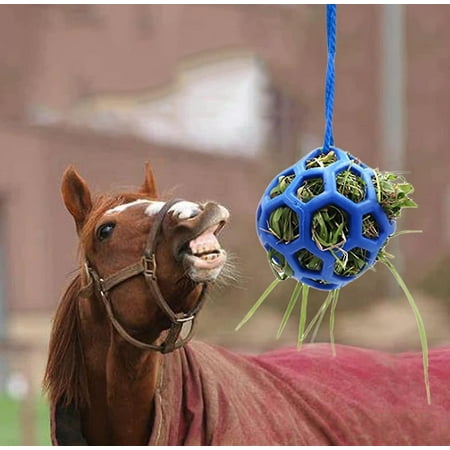 Ssxjv 1 Pack Horse Treat Ball Hay Feeder Toy, Goat Feeder Ball Goat Hay ...