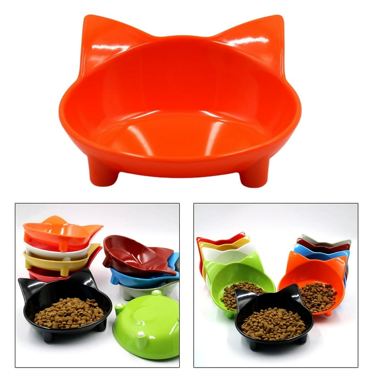 Shallow Bowl Of Water