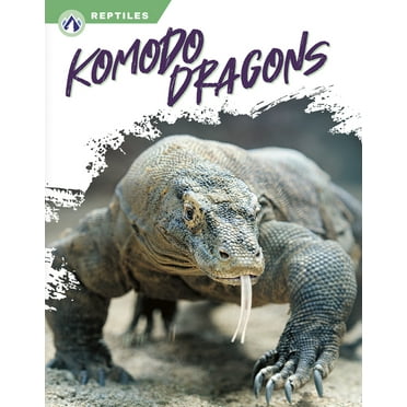 Real-Life Dragons: Komodo Dragons (Paperback) - Walmart.com