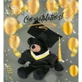 DolliBu Long Leg Black Bear Graduation Plush Toy - Soft Plush ...