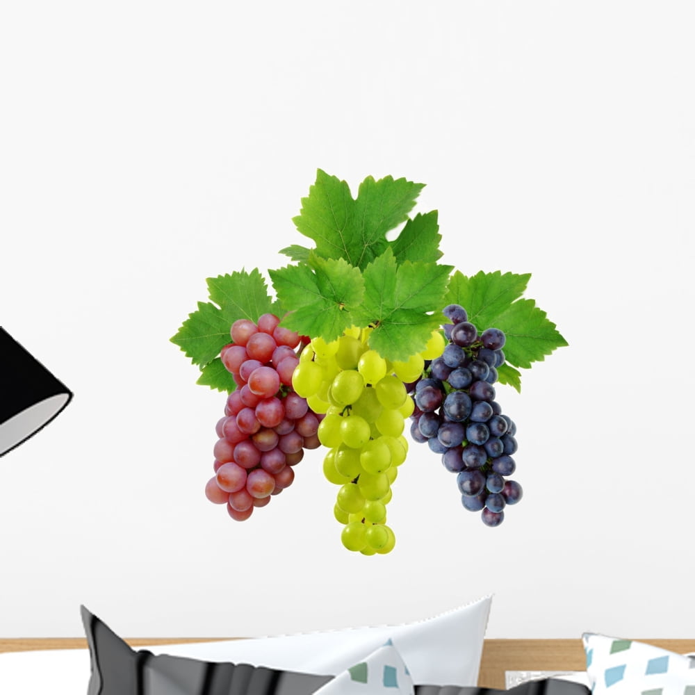 Three Various Grapes Wall Decal by Wallmonkeys Peel and Stick Graphic ...