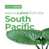 Leilo Kava Herbal Stress-Relief Drink, Variety Pack, 12 Fresh 12 Oz ...