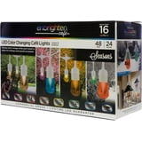Enbrighten Seasons Vintage LED Color-Changing Café String Lights, 48ft ...