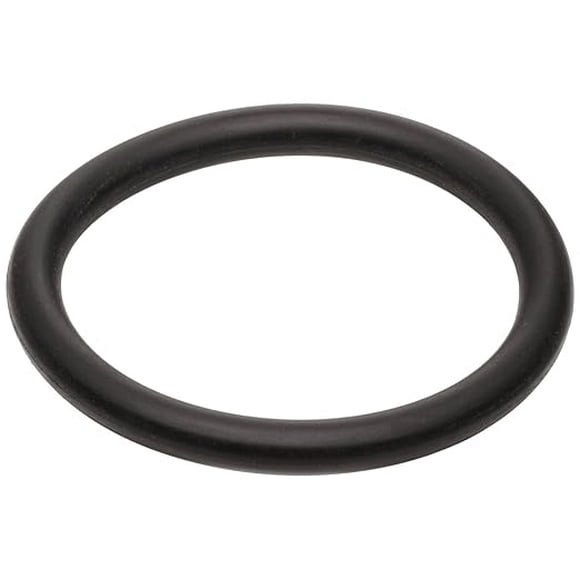 6 Inch O Ring