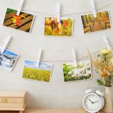 100 Pack Large Wooden Clothespins, Clothes Line Clips for Laundry ...