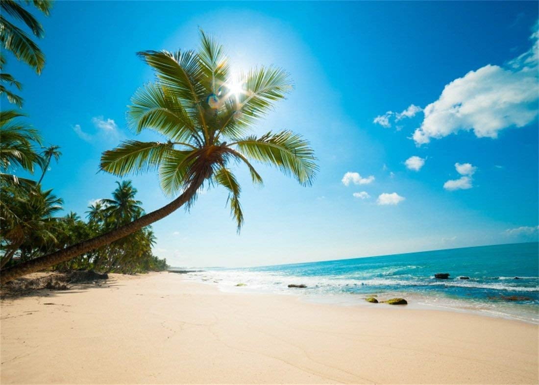 ABPHOTO Polyester 7x5ft Beach Photo Backdrop Seaside Blue Sky White ...
