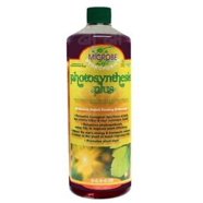 Super Root Booster - Walmart.com