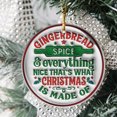 3D Inflated Gingerbread Spice Everything Nice Thats What Christmas Is ...