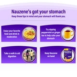 Nauzene Upset Stomach & Nausea Relief Chewables with Ginger Honey ...