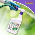 BONIDE All Seasons Horticultural Spray Oil, Insect and Mite Control, 32 ...