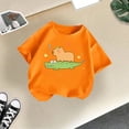 BOOMNY Toddler Girls Short Sleeve T-Shirts Crew Neck Cartoon Capybara ...