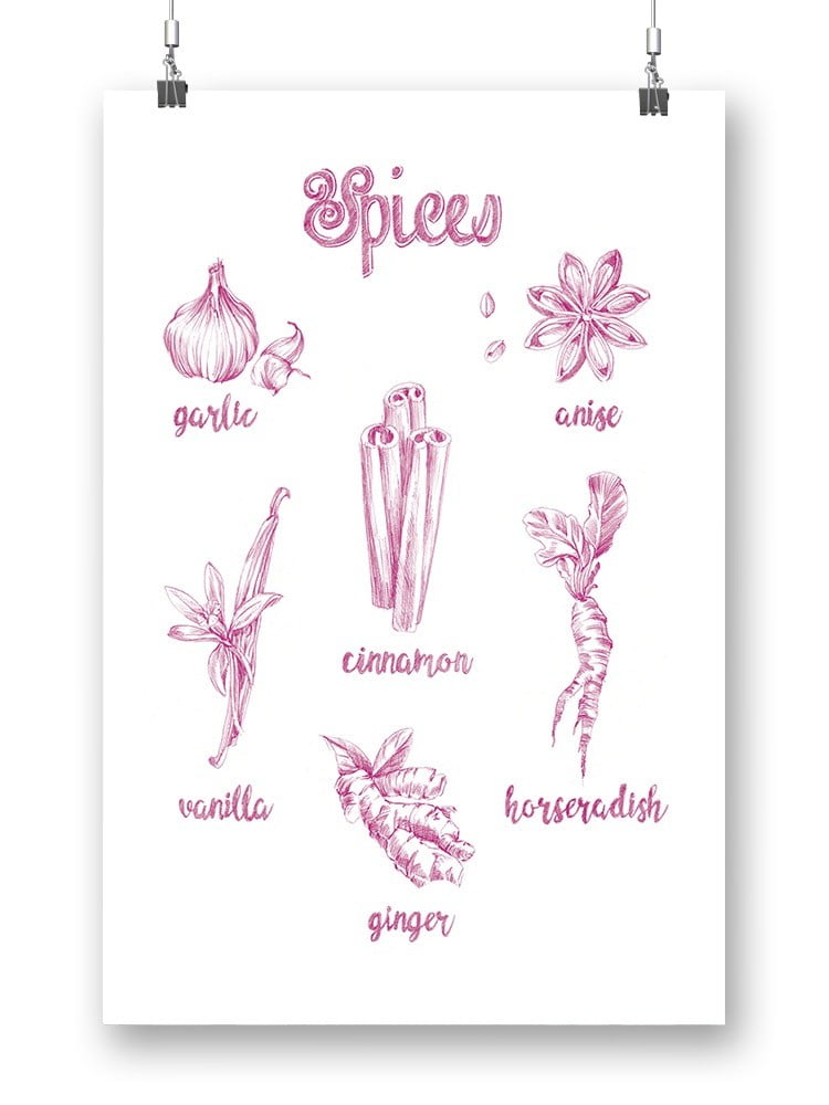 Spice Varieties Poster - Ethan Harper Designs, - Walmart.com