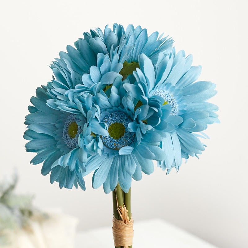 Teal Gerber Daisy