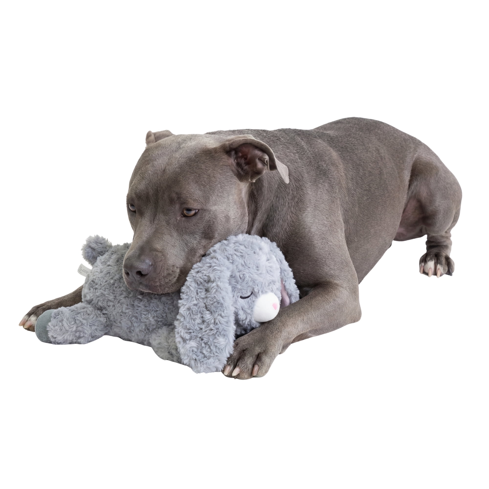 Click here for One Paw  Bunny Plush Dog Toy  13 Inches prices