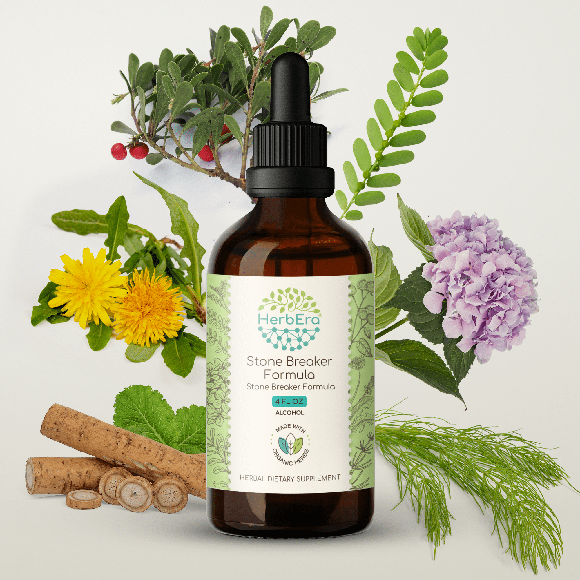 Stone Breaker Formula Alcohol Extract Tincture. Stone Breaker Formula 4 ...