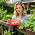 Bird Bath and Feeder for Deck Railing Purple Glass Bird Bath Outdoor ...