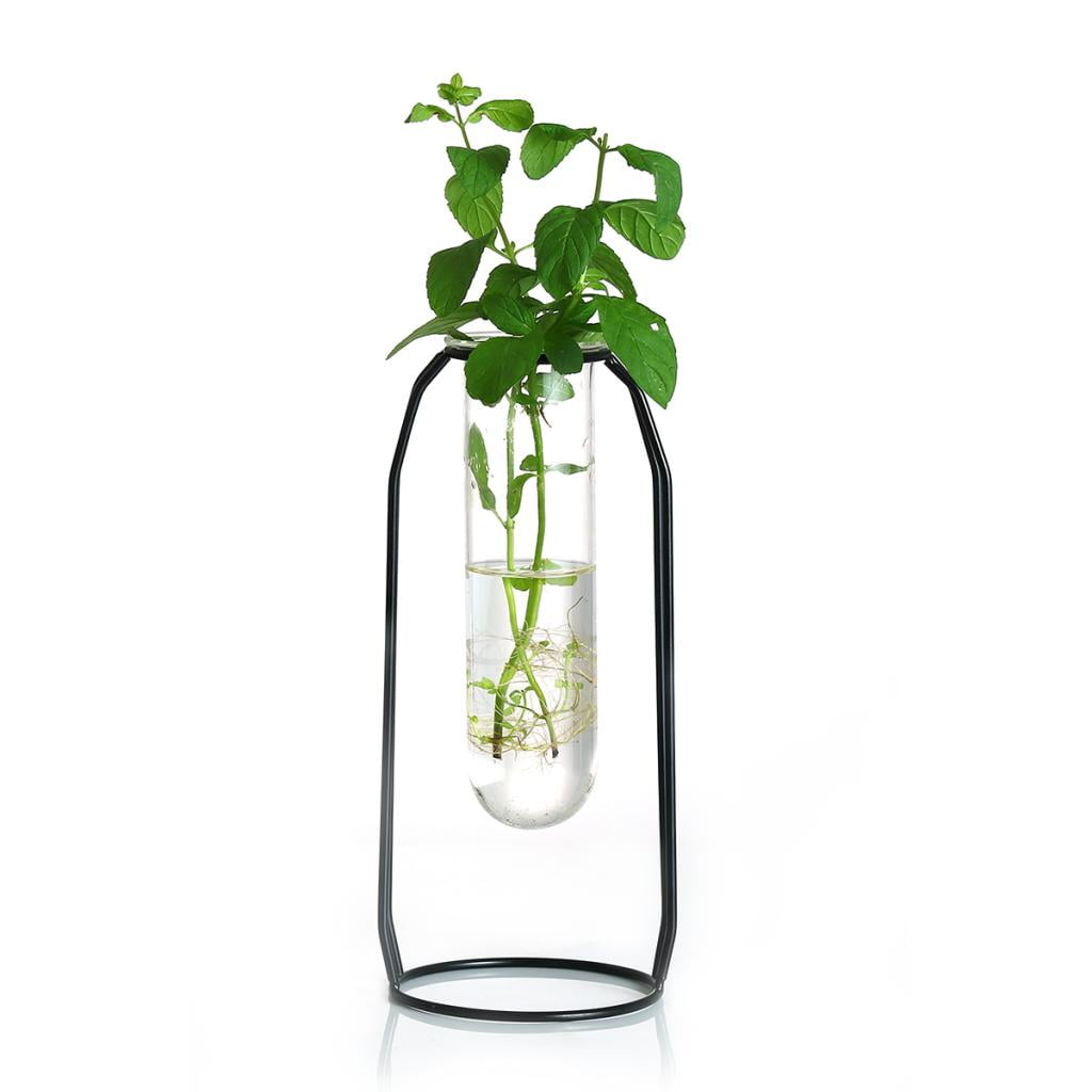 Click here for Elodie Glass Flower Vase Plants Container With Sta... prices