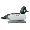Final Approach Live Common Goldeneye Floating Duck Decoys, 6 Pack ...