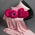 Jwh 3d Velvet Flower Pillows Aesthetic Decorative Throw Pillows 3d