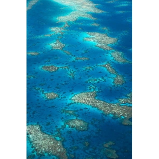 Great Barrier Reef Tourism