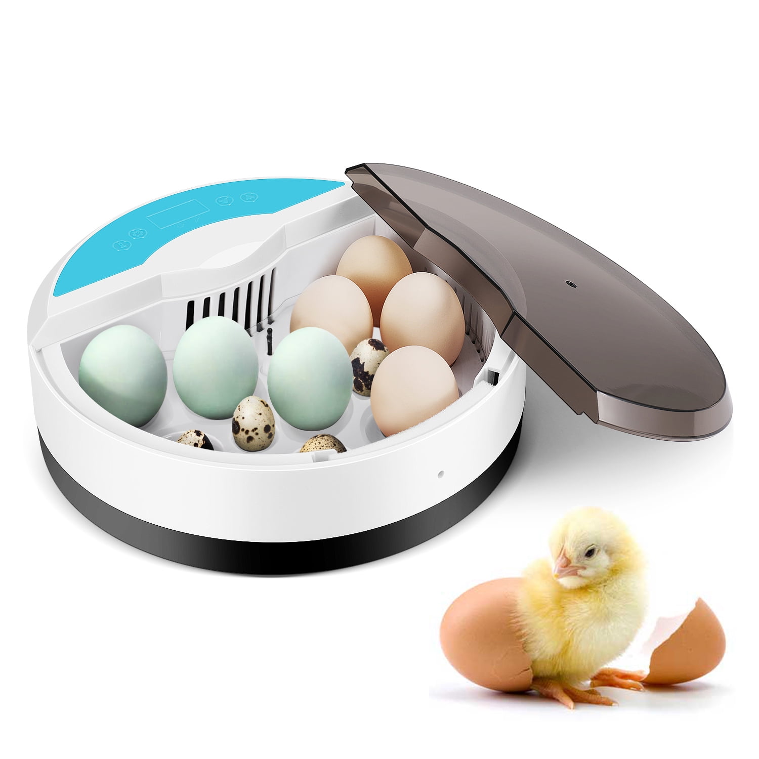 Flexzion Egg Incubator Cabinet For Chicken - Digital Mini Fully Poultry ...