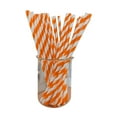 EDHITNR 100pc Paper Disposable Straws, Thick Unbreakable Biodegradable ...