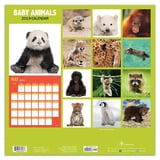 2019 Baby Animals 12" x 12" January 2019-December 2019 Wall Calendar ...