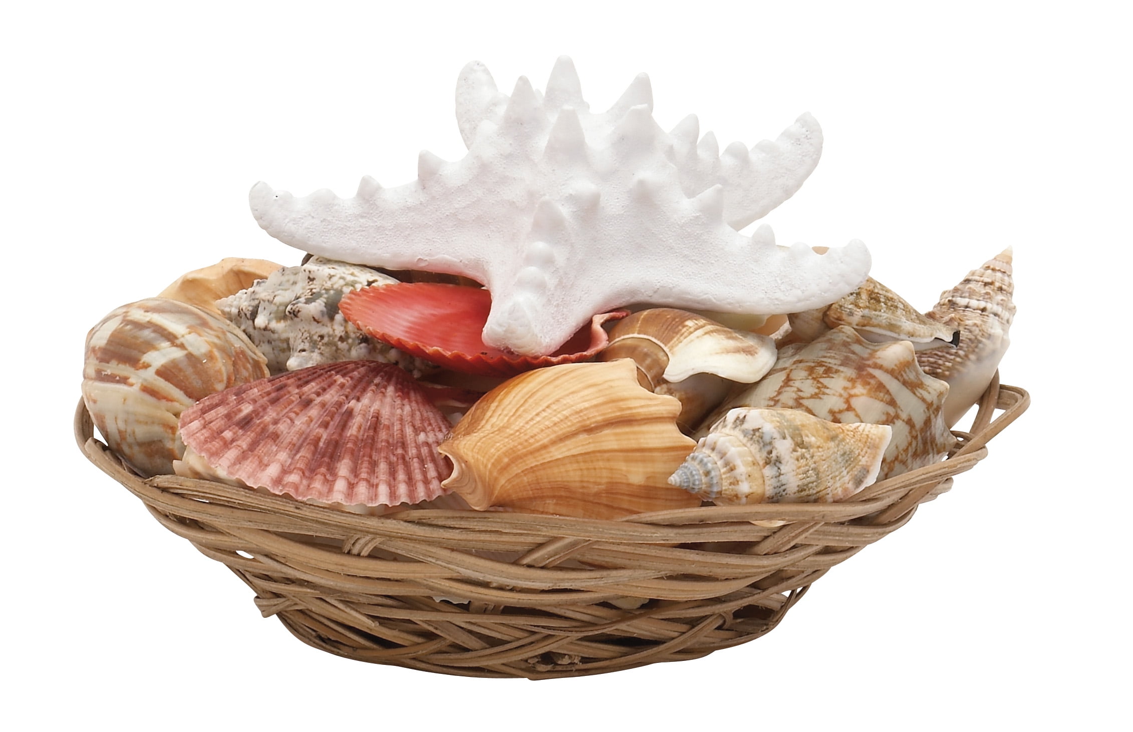 Alluring Sea Shell Bowl - Walmart.com