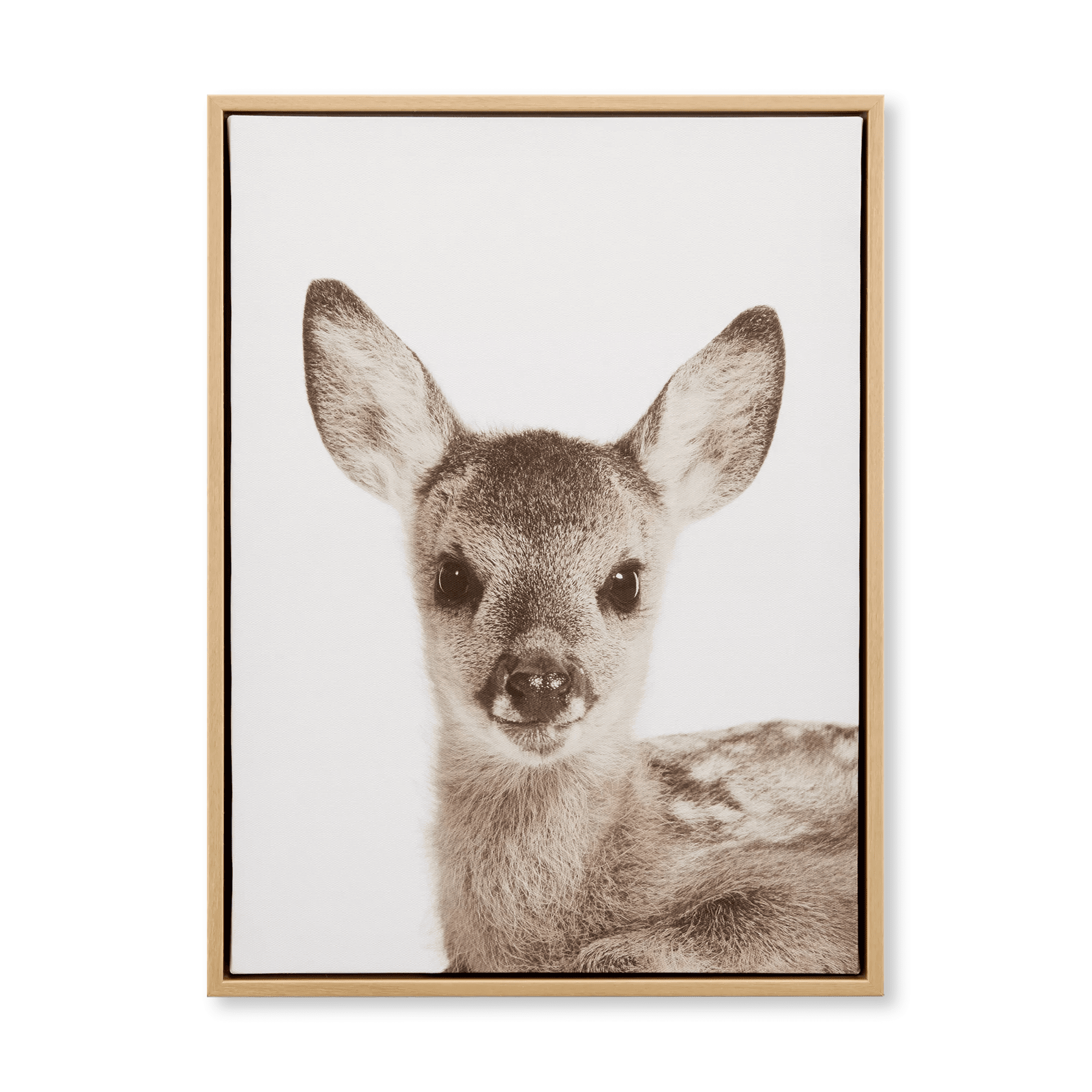 Click here for Bouclair Brown Fawn Framed Art 16 X 12 In (40.6 X... prices