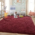 Noahas Soft Fluffy Area Rug for Living Room Bedroom Shaggy Accent ...