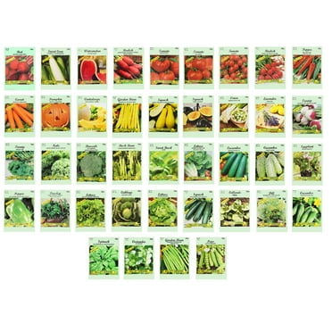 Set of (43) Current Year Assorted Vegetable & Herb Seeds - Create a ...