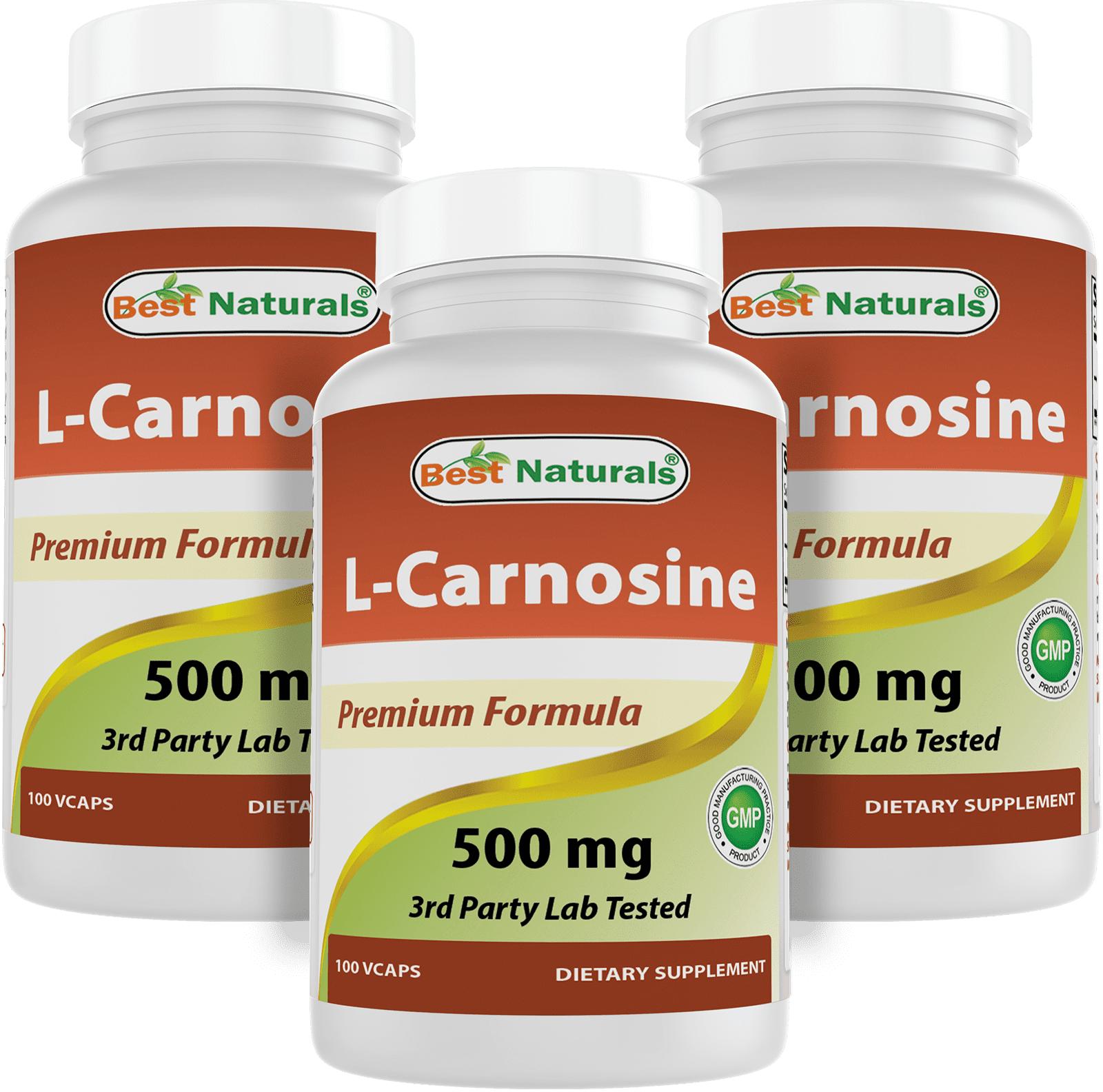 3 Pack Best Naturals L-Carnosine 500 mg 100 Vegetarian Capsules ...