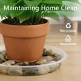 6 Pack Clear Plastic Plant Saucers, Durable Water Catcher Trays for ...