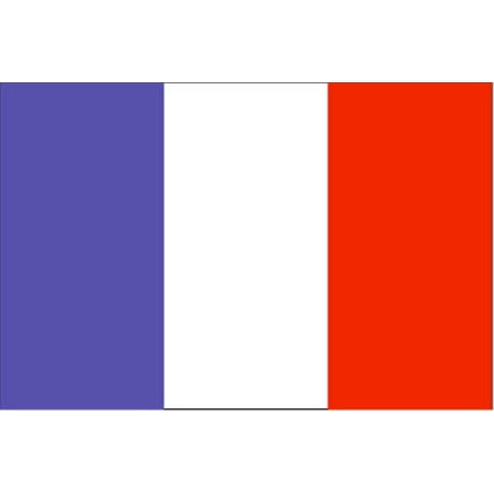 Flag Various Countries Of The World Polyester Flag-France-160 * 240cm ...