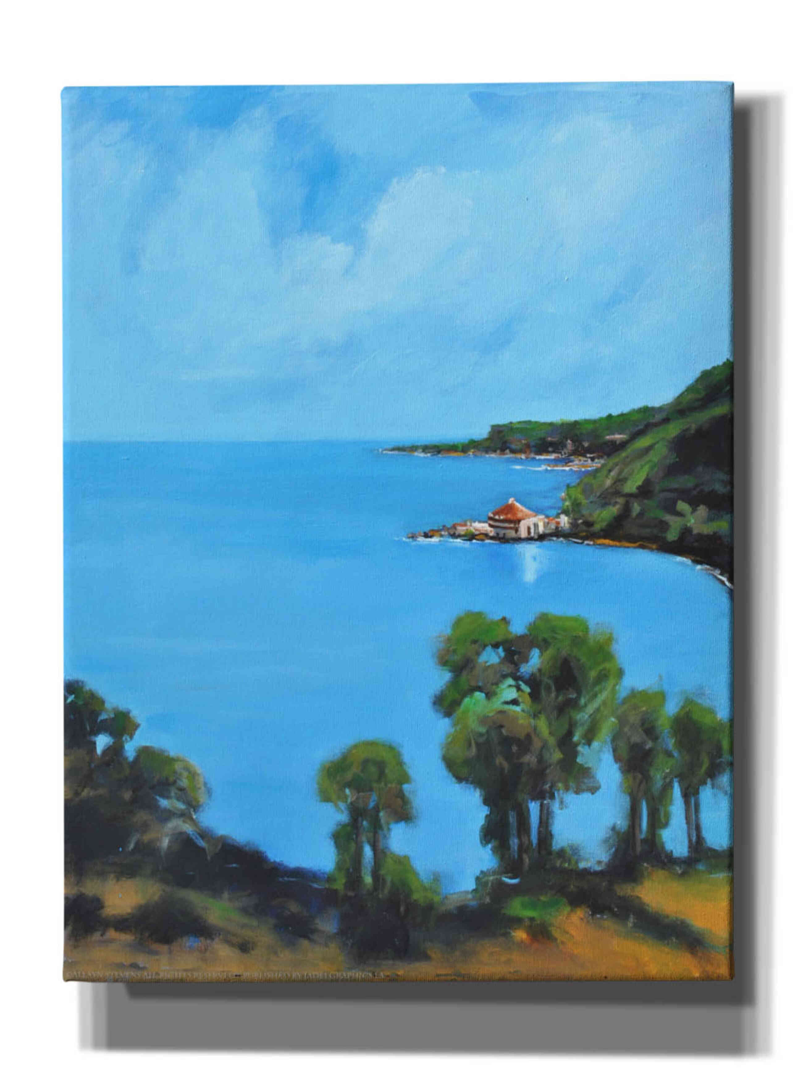 Epic Graffiti 'My Cove' by Jadei Graphics, Canvas Wall Art, 12"x16 ...