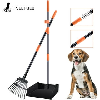 Flexrake Standard Poop Pet Scoop/Rake with 3-Feet Aluminum Handle ...