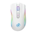 YMTQ Wireless Mouse 2 4GHz Wireless Mouse Gaming Mouse RGB Backlight ...
