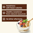 Chung Jung One Allulose Syrup, Low-Calorie Sweetener, Sugar Substitute ...