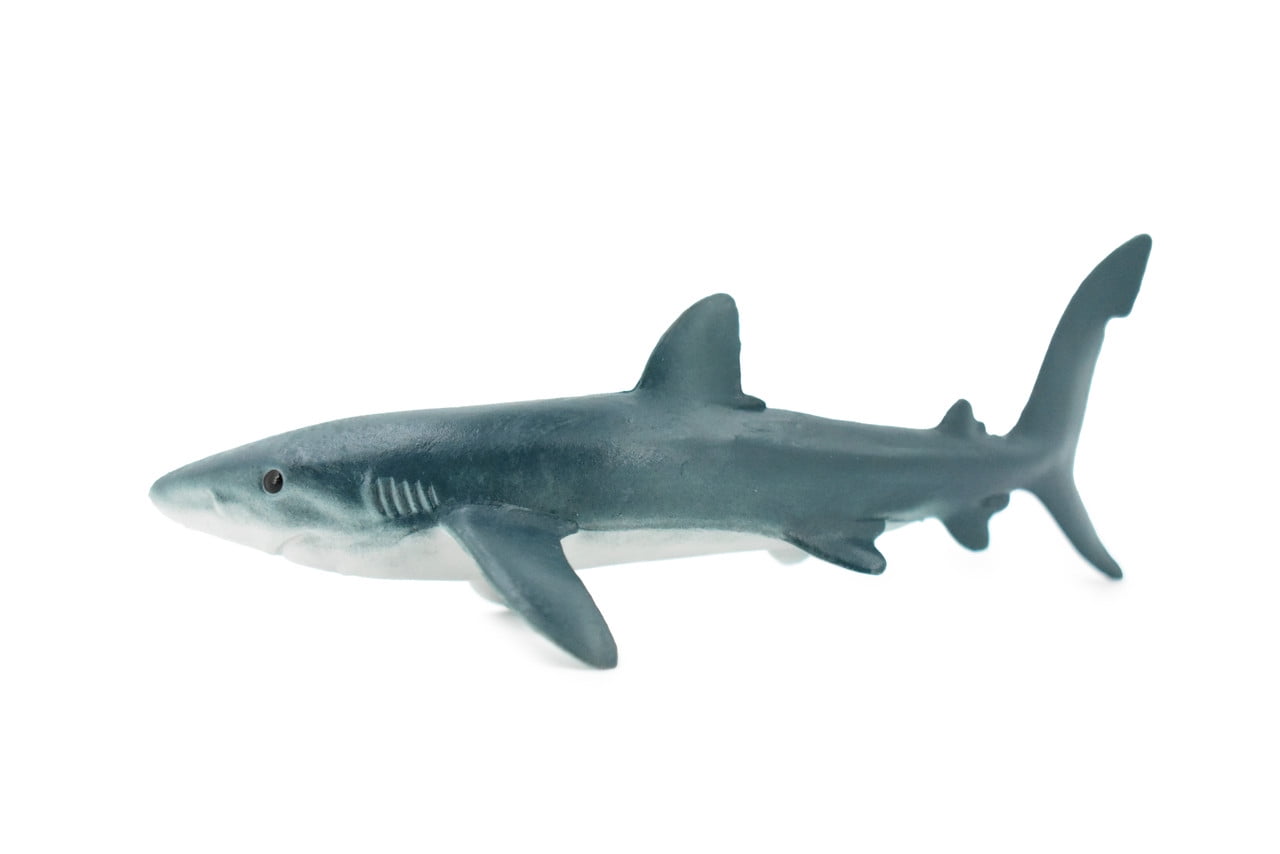 Shark, Blue Shark, Museum Quality, Hand Painted, Rubber Fish, Realistic ...