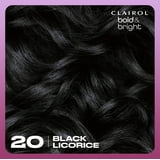 Clairol Bold & Bright Permanent Hair Color Creme, 20 Black Licorice ...