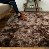Junovo Luxury Velvet Shag Area Rug Modern Indoor Fluffy Rugs, Extra ...