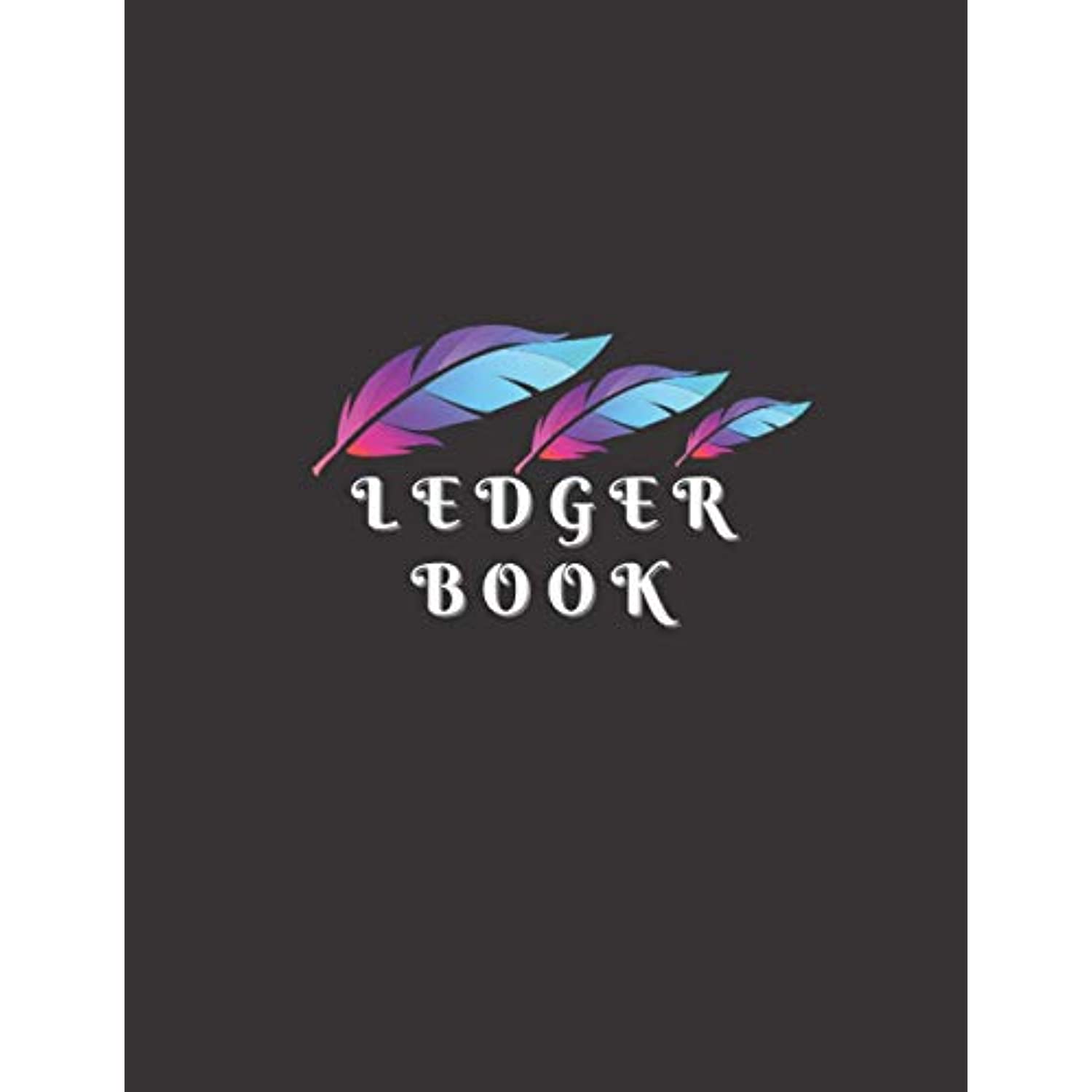 Ledger Book: Beautiful Feathers Design Cover : Cashflow Logbook for ...
