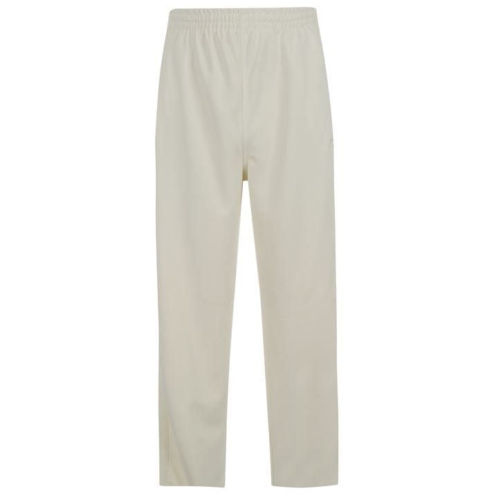 Click here for Slazenger Large Elite Cricket Pants prices