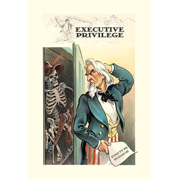 Executive Privilege- Fine Art Canvas Print (20" x 30") - Walmart.com ...