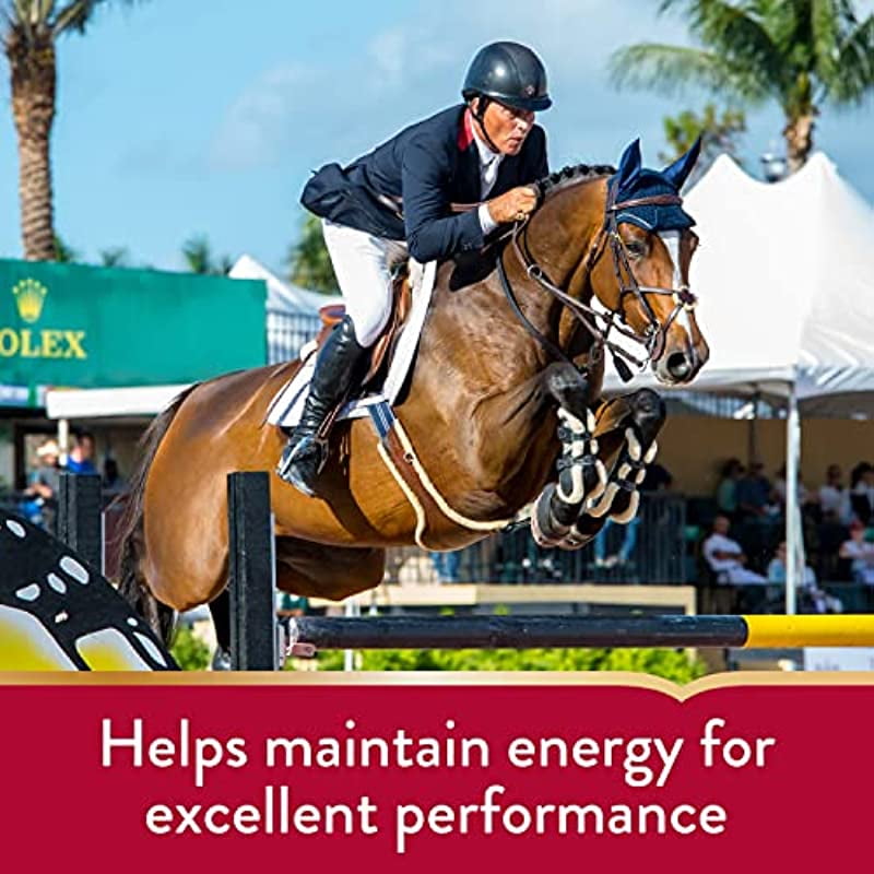 Buy Vita Flex Pro Horse Lactanase Performance Supplement Single Serve ...