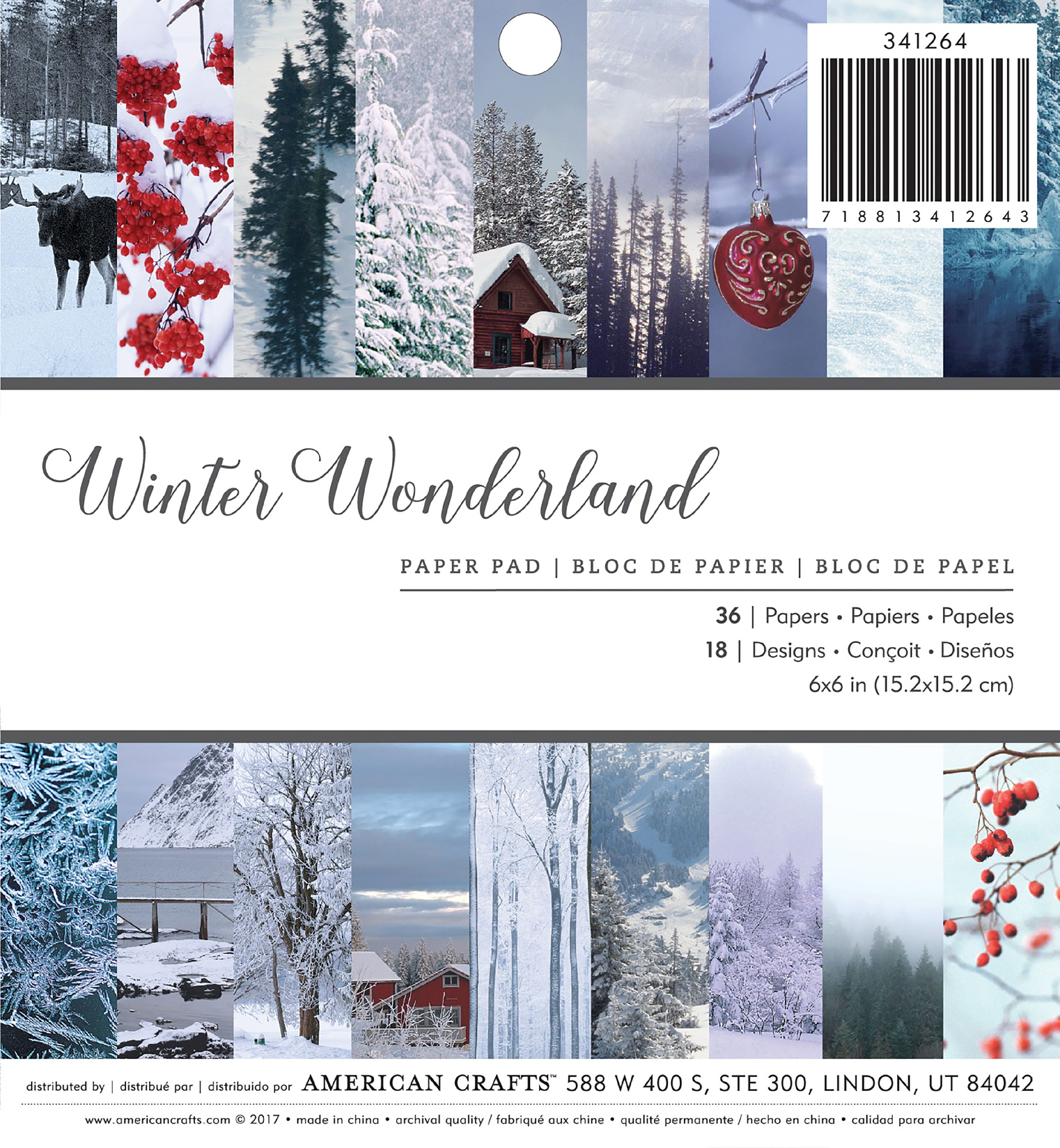 American Crafts Single-Sided Paper Pad 6"X6" 36/Pkg-Photo Real Winter ...