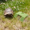 Phlegsive Tortoise Climbing Basking Platform Turtle Tank Floating
