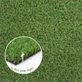 Petgrow Artificial Synthetic Grass Turf 9FTx20FT(180 Square FT) 0.8 ...