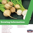 Harris Seeds Beet Avalanche, Treated, White Root Beet Variety, 250 ...