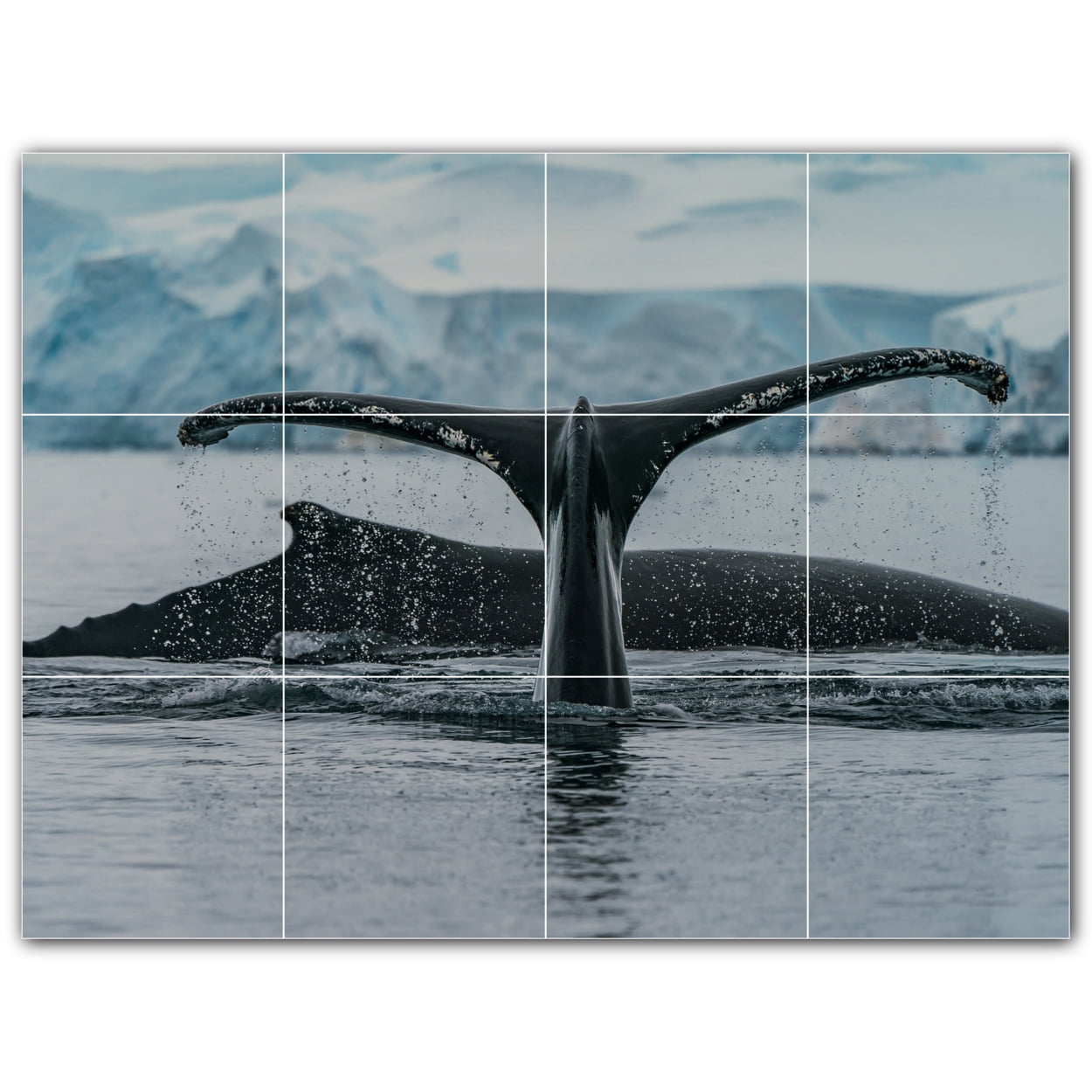 Picture-Tiles.com: Whale Ceramic Tile Wall Mural WAL501199-43M. 24"W x ...
